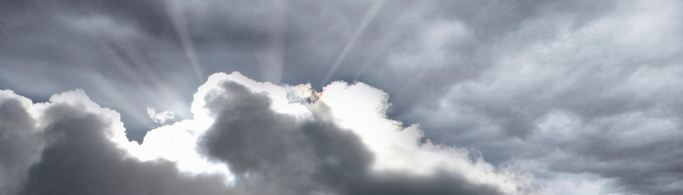 Steve Hardison – The Ultimate Coach