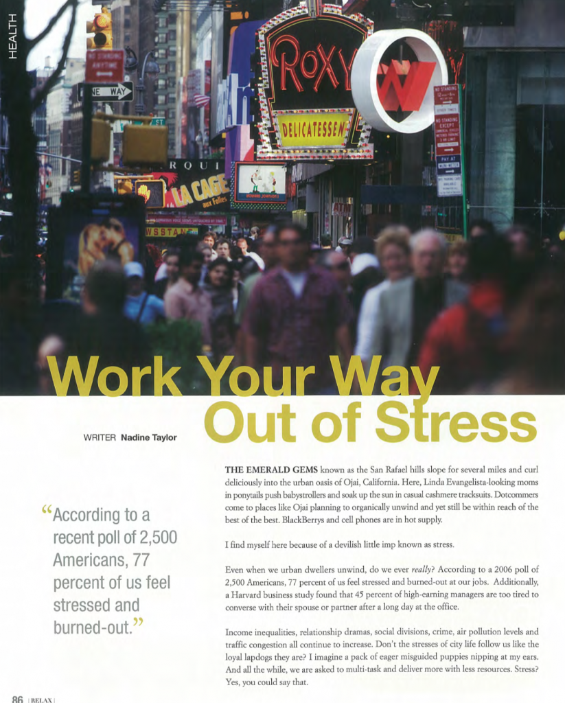 Work Your Way Out of Stress – Steve Hardison